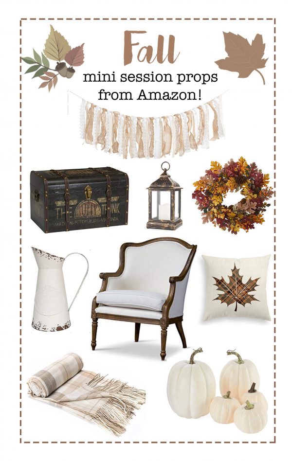 Fall Mini Session Props from Amazon!